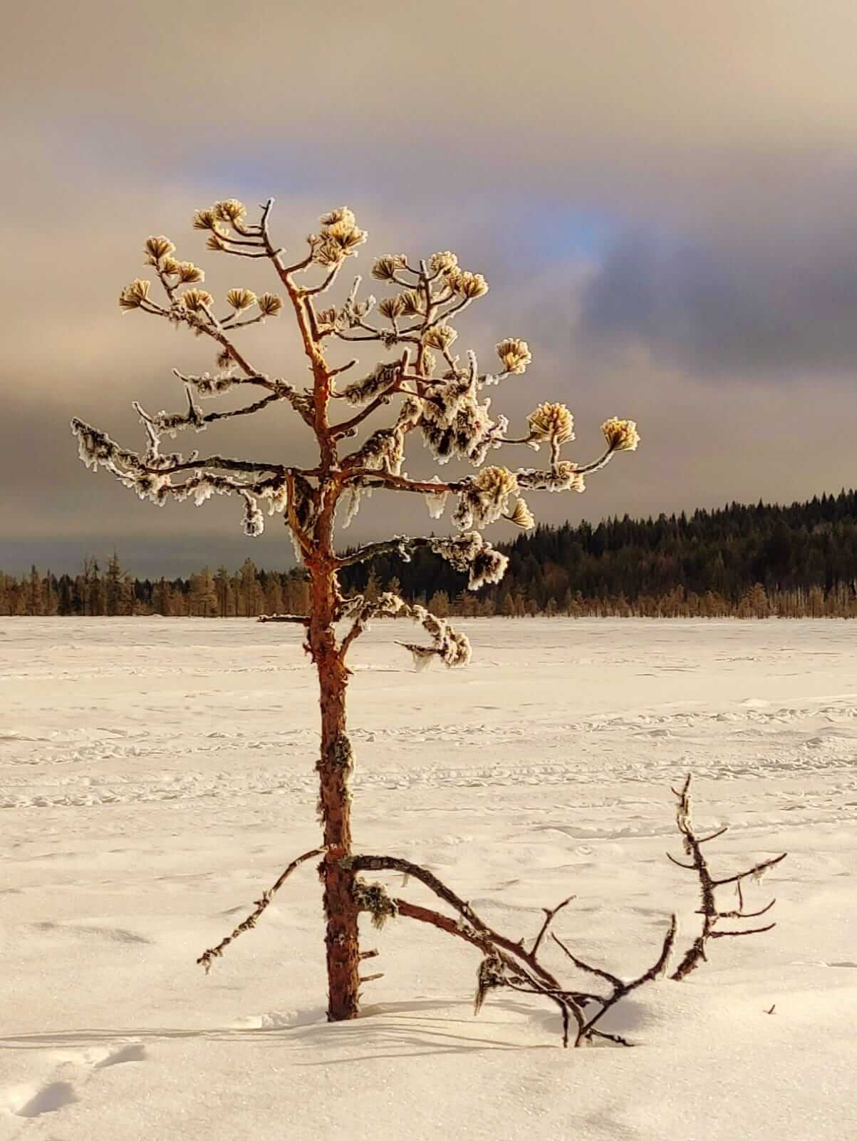 Montenegro – VHS Go Beyond